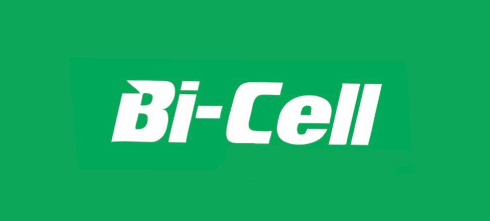 Inverter Battery in Gurgaon - Solar Battery in Haryana - Bi-Cell Power